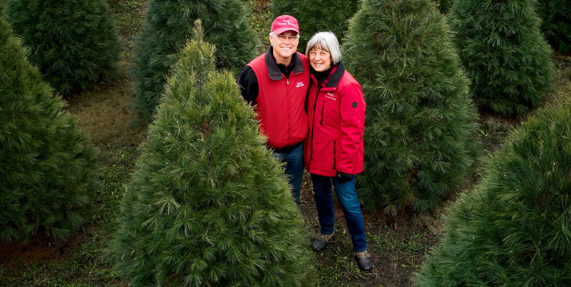 What It’s Like to Own a Christmas Tree Farm