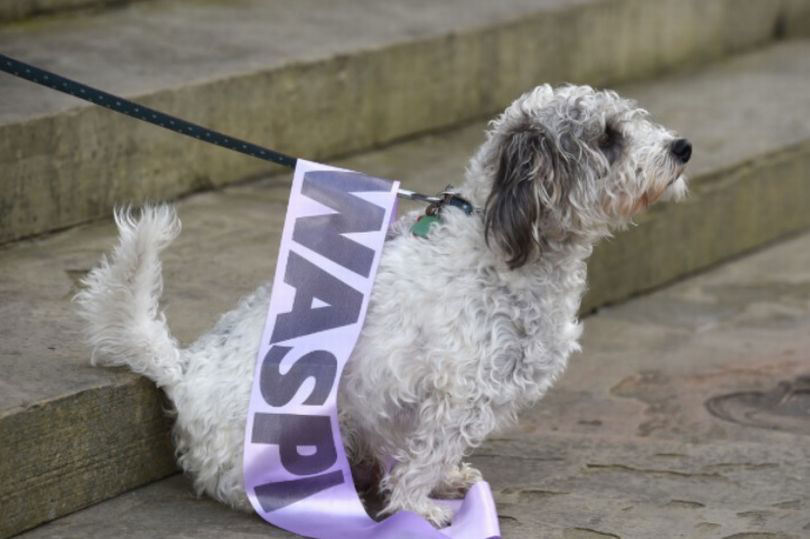 Labour and DWP 'forced' to issue big update over WASPI compensation ... Labour and DWP 'forced' to issue big update over WASPI compensation ...