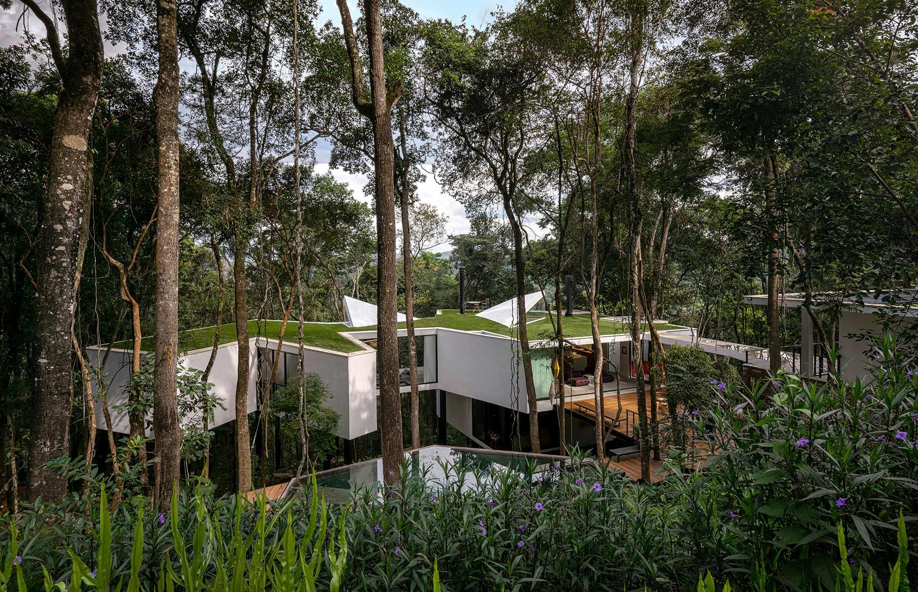 12 beautiful homes hidden in the trees