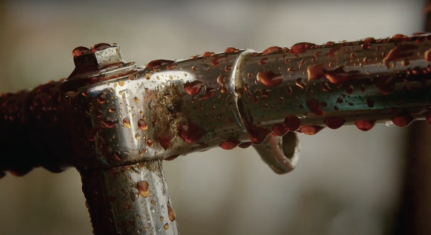 "The Odds Were One In Ten Quadrillion": 23 Ridiculously Unlikely Things ...