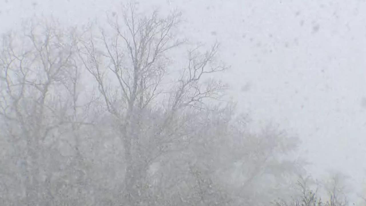 Michigan snow forecast: Lake effect snow, squalls to hit Metro Detroit ...
