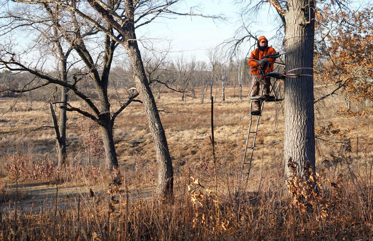Gun deer hunters had more success this season in Northeast Wisconsin ...