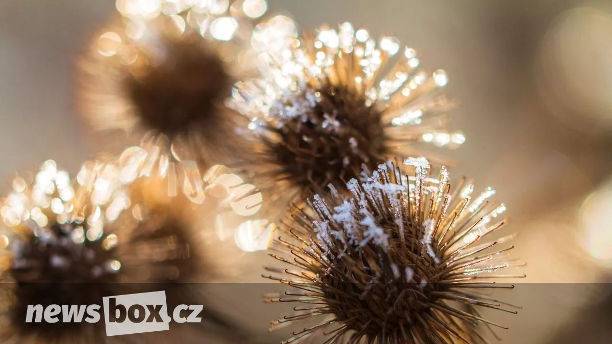 Česko se může těšit na Léto Všech svatých, uvedli meteorologové