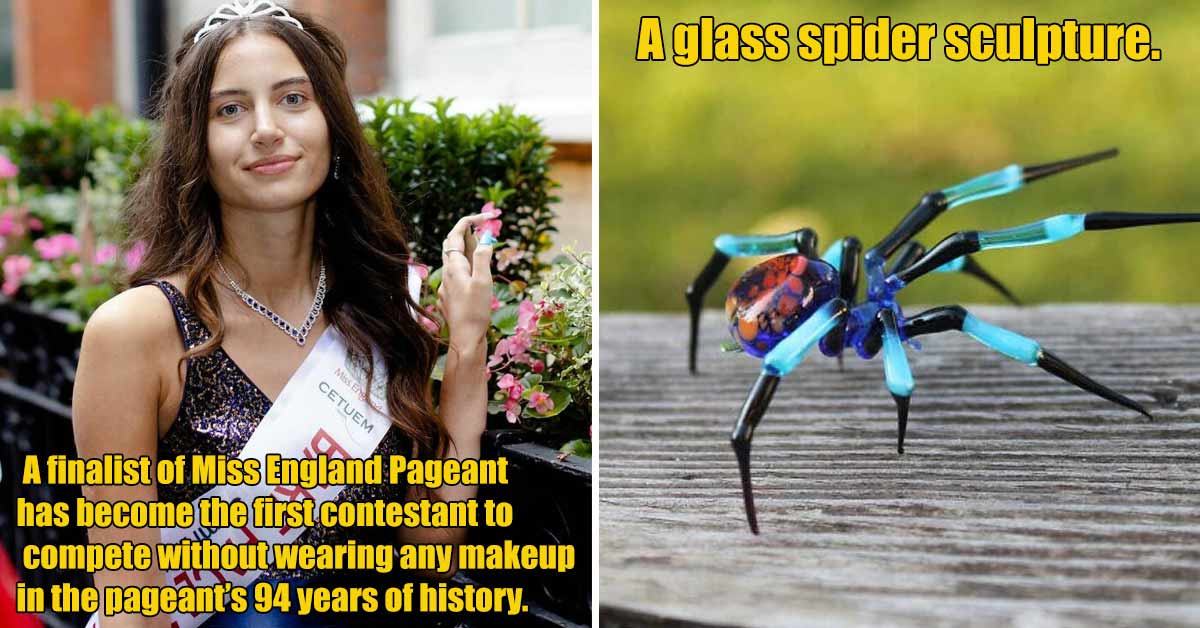 36 Fascinating Pics and Cool Things People Saw