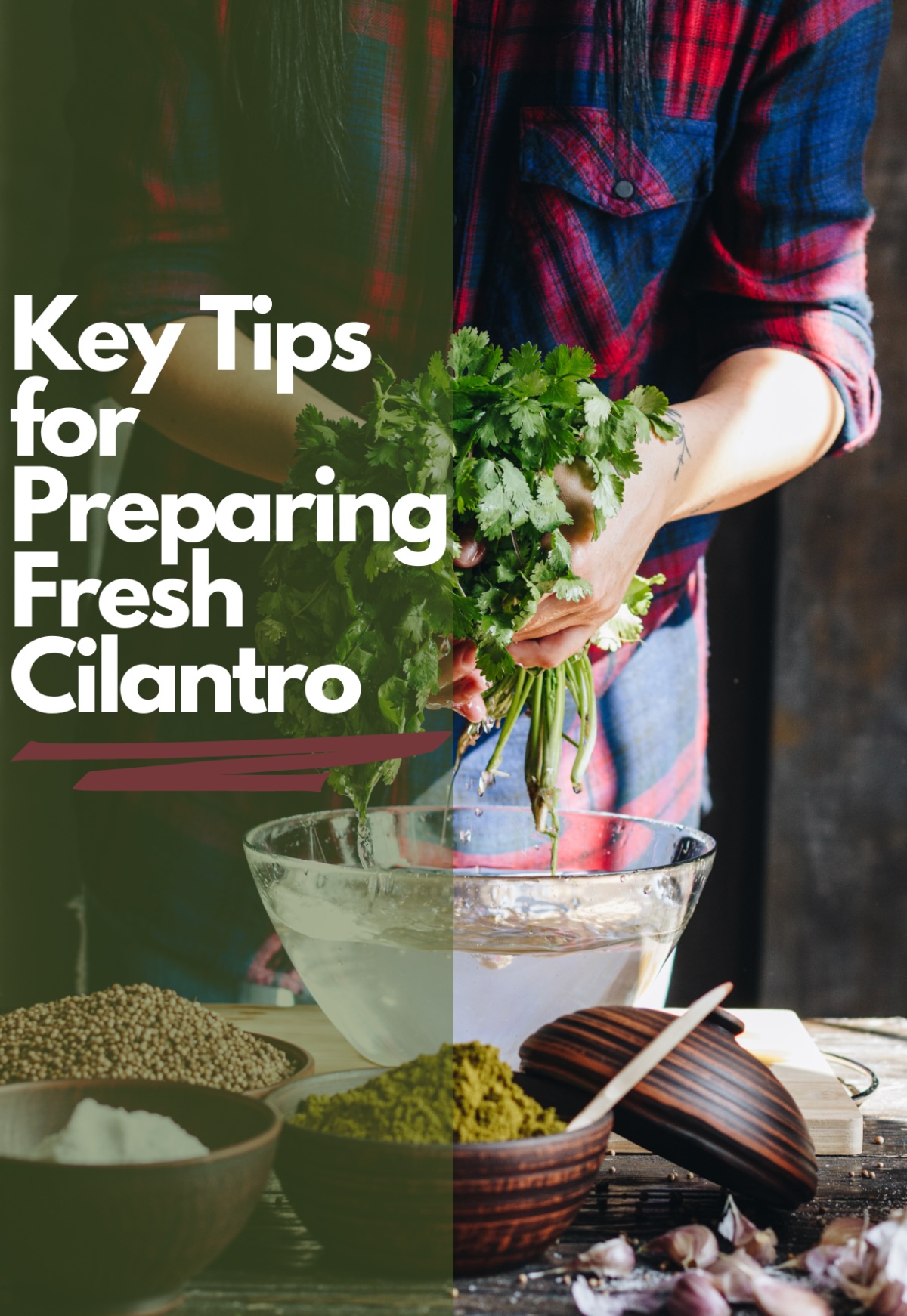How to Prepare and Cook with Cilantro PLUS Health Benefits