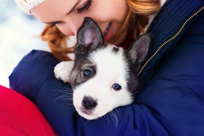 Puppy training 101: 17 tips to prepare your dog for success
