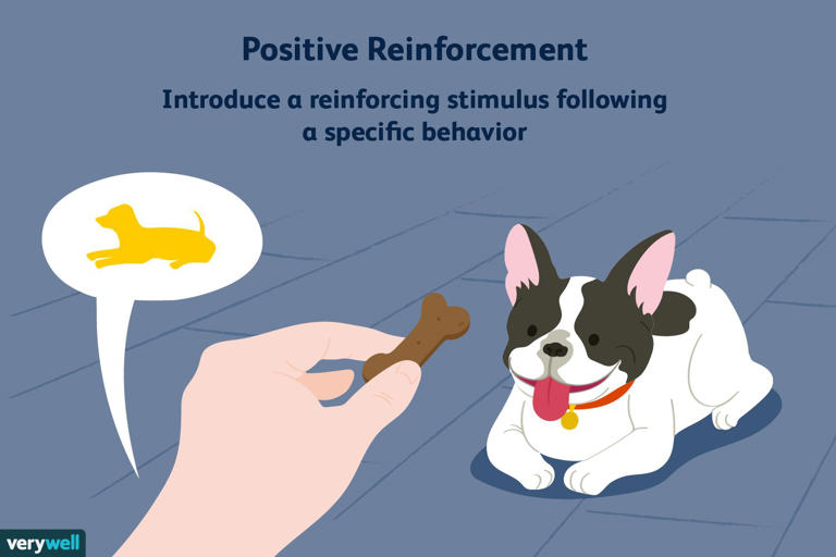 Positive reinforcement and operant conditioning