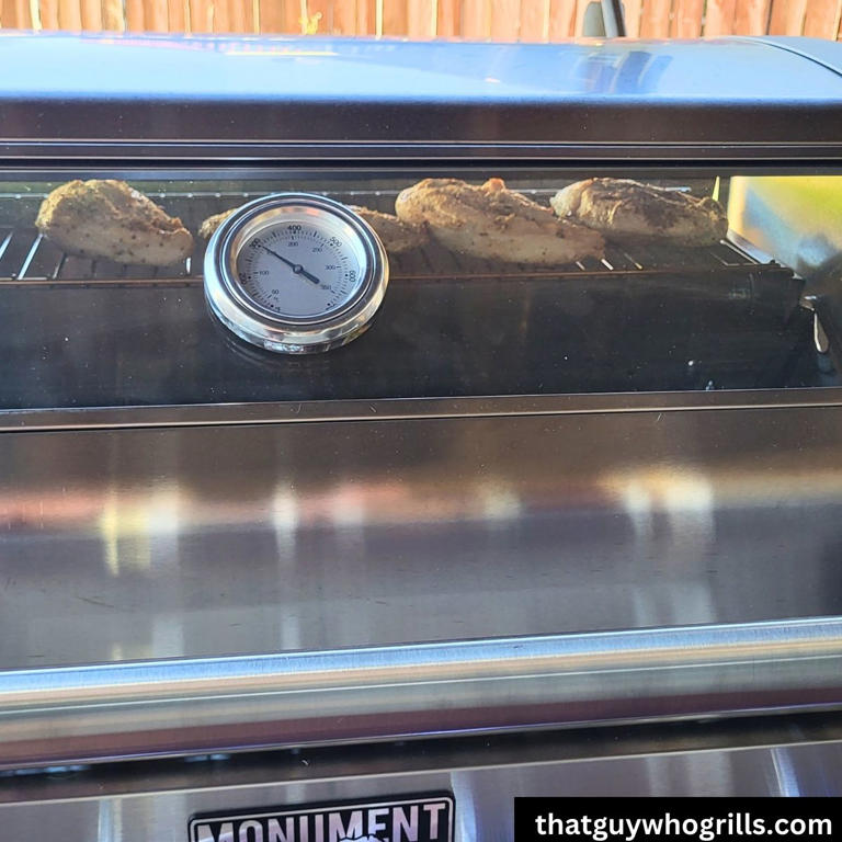 Monument grills review!