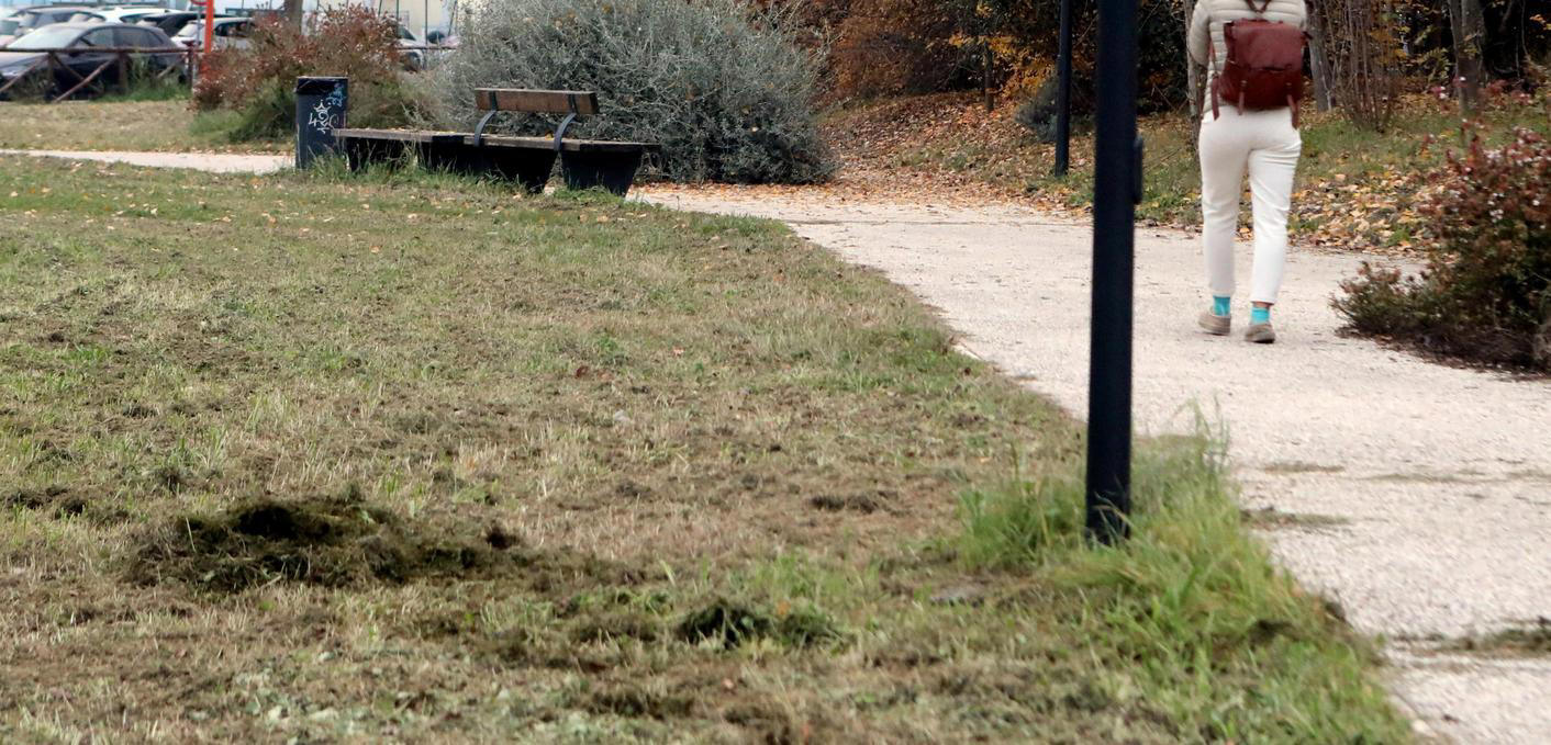 Parco Novello, protesta per lo sfalcio dell’erba Parco Novello, protesta per lo sfalcio dell’erba