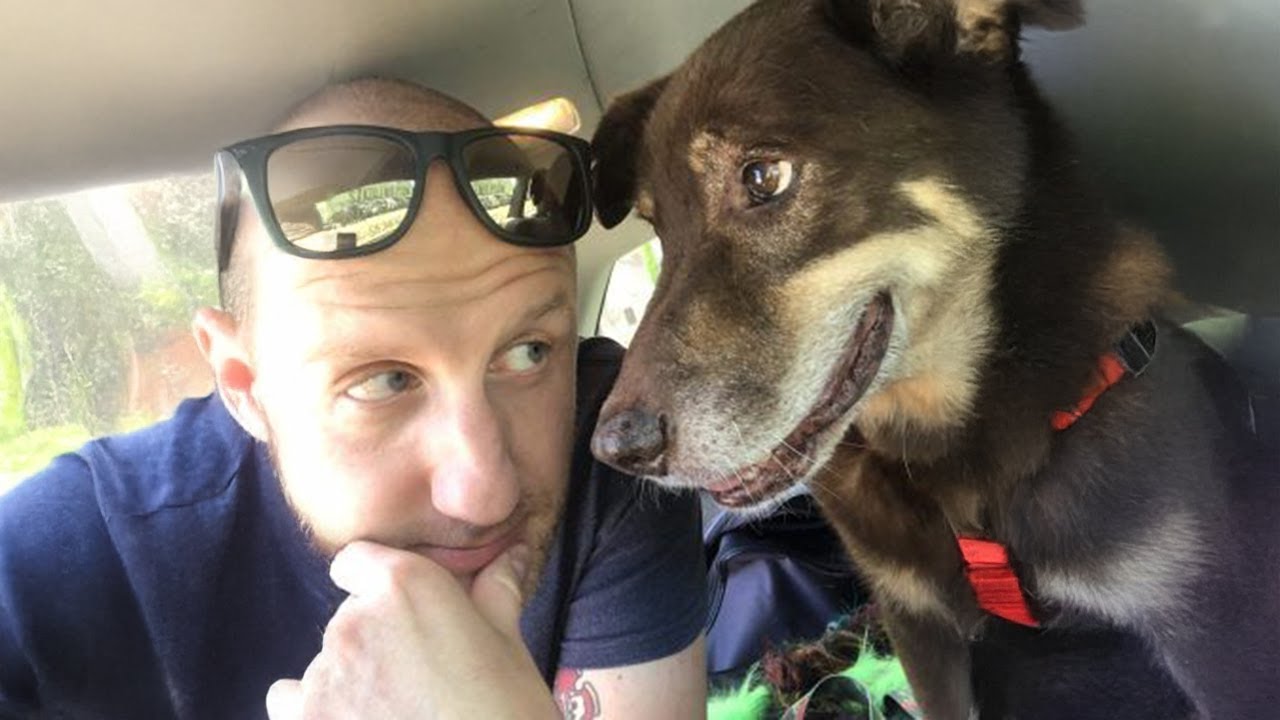 Dog Acts More Like a Sibling Than Just a Pet