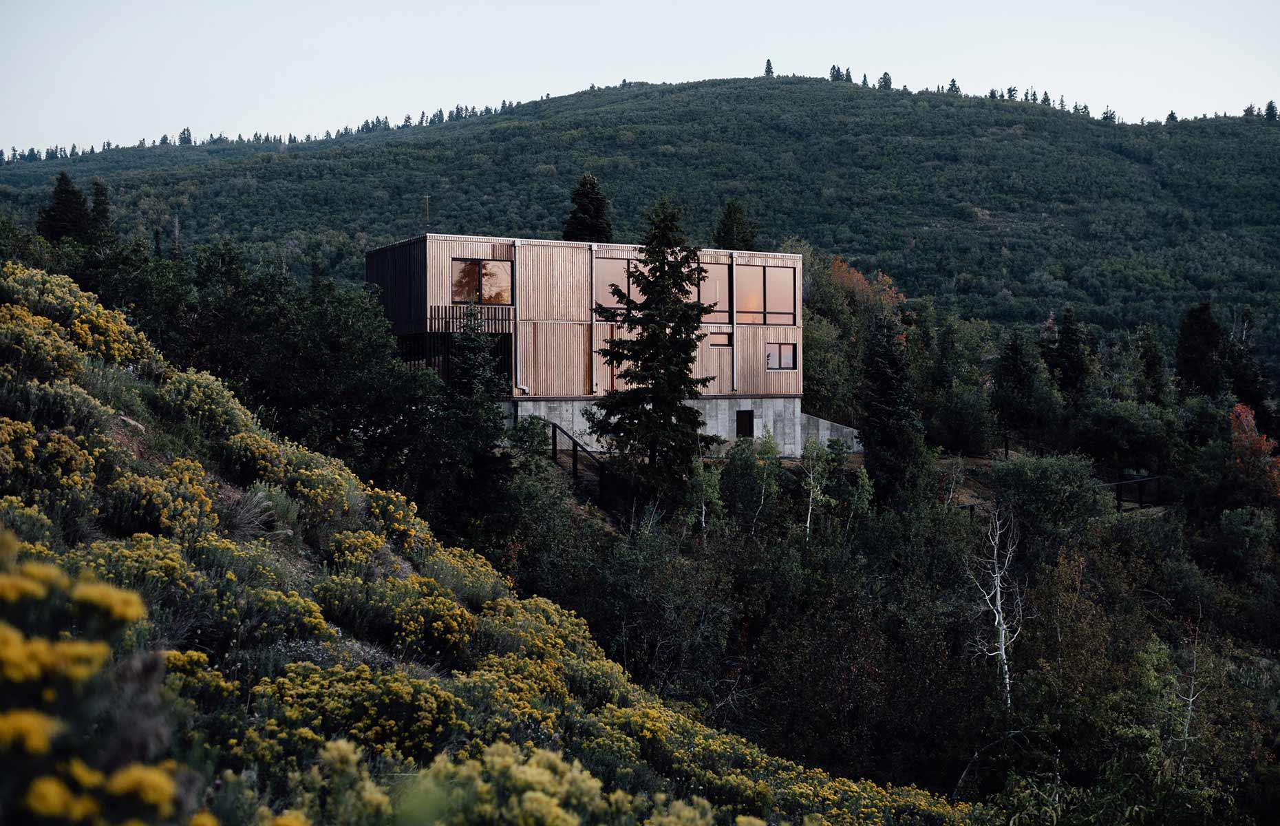 Step Inside 12 INCREDIBLE Treetop Homes In America, Beyond