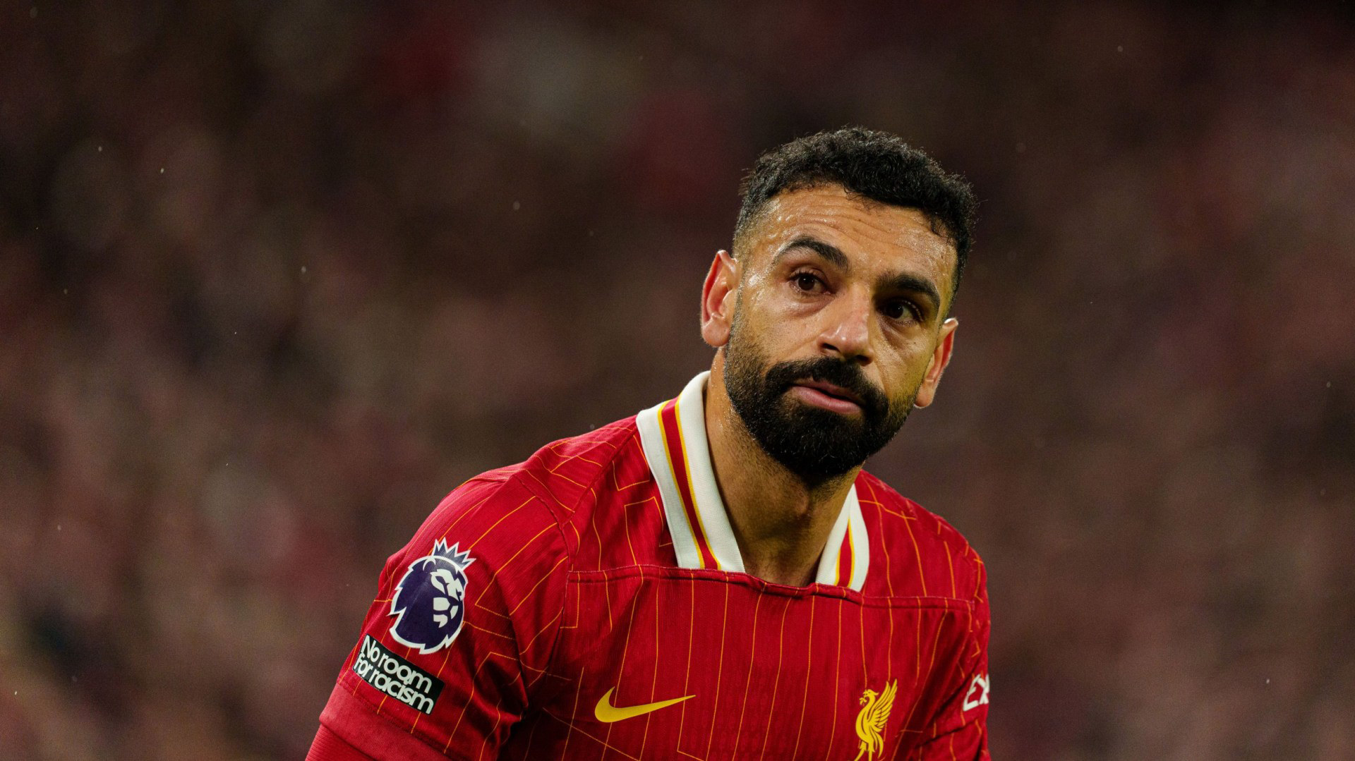 Ally McCoist tells Liverpool to sign Premier League star as Mohamed ... Ally McCoist tells Liverpool to sign Premier League star as Mohamed ...