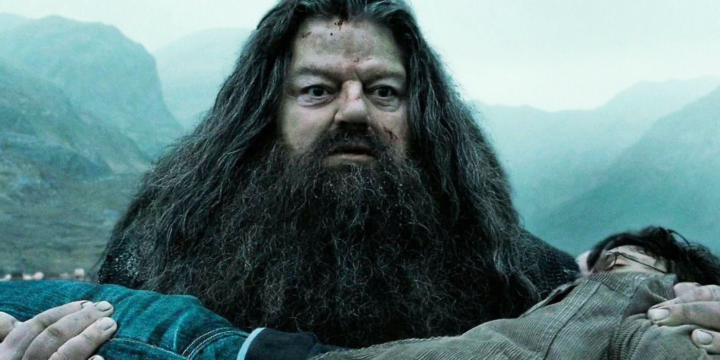 New 'Harry Potter' Star Nick Frost Wants Hagrid To Be Different From ...