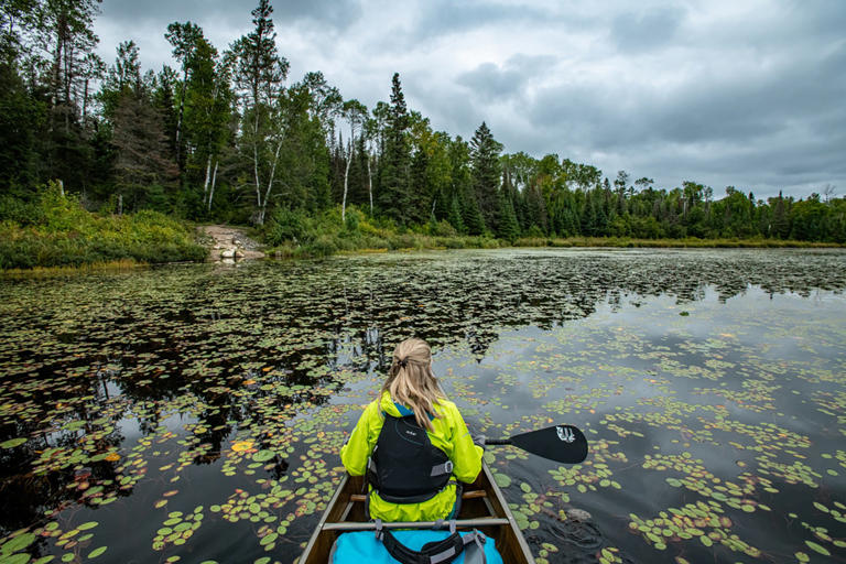 Rye seeds were lost in Great Lakes shipwreck for 146 years. Now, they ...