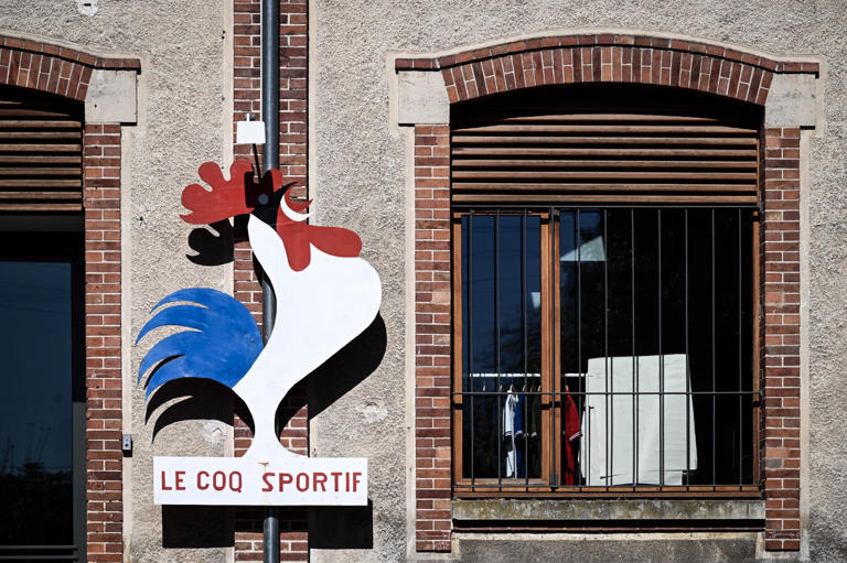 Xavier Niel et Teddy Riner ne reprendront pas Le Coq Sportif: la ...