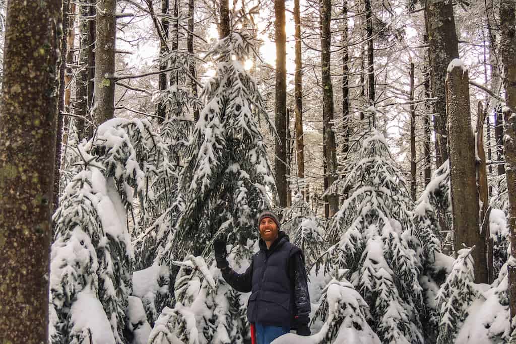 Cut Down a Wild Christmas Tree in Your National Forest