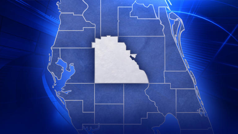 Winter Haven mom watched Lyft driver leave with baby in car: Police