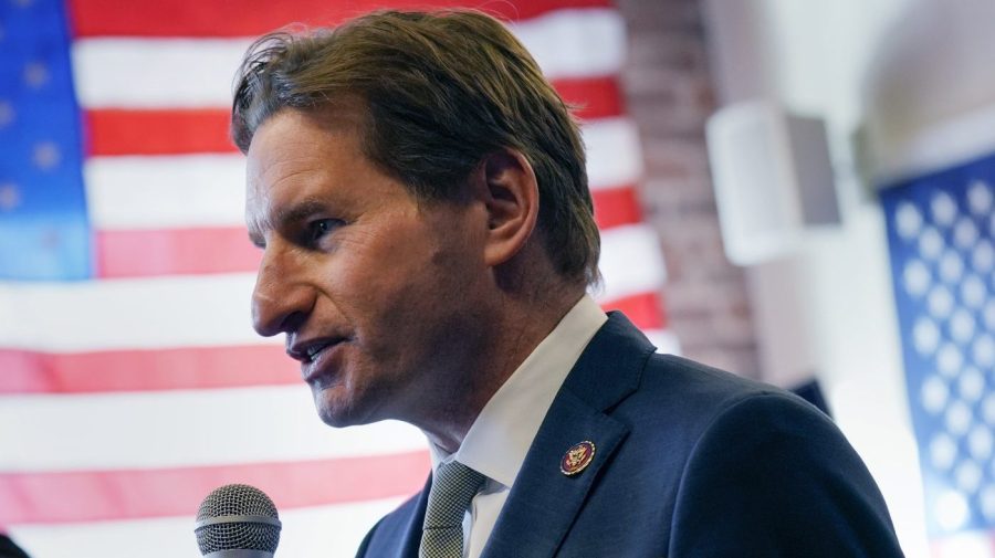 Dean Phillips: Democrats ‘pathetically’ fighting DOGE ‘steamroller’