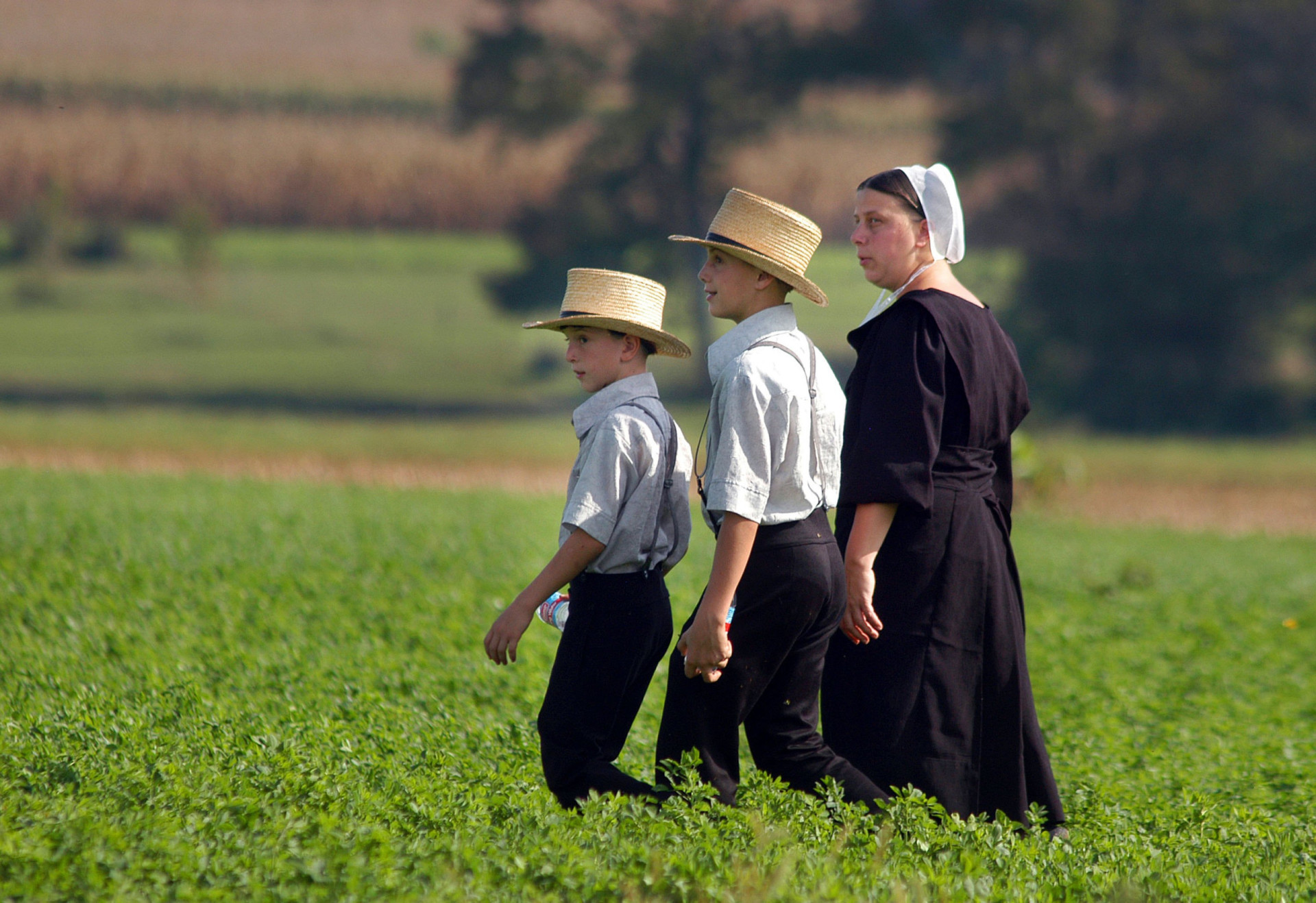 Ces règles uniques façonnent le monde des Amish