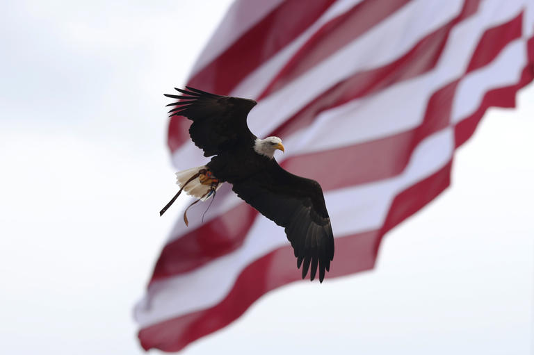 Highly-touted transfer cornerback Raion Strader commits to Auburn