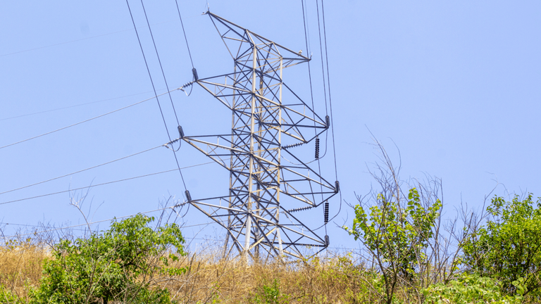 PSEG submits motion to ban Marylanders from hunting on their own ...