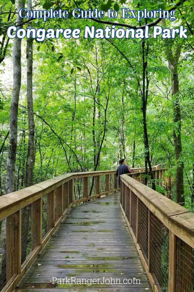 Complete Guide to Congaree National Park