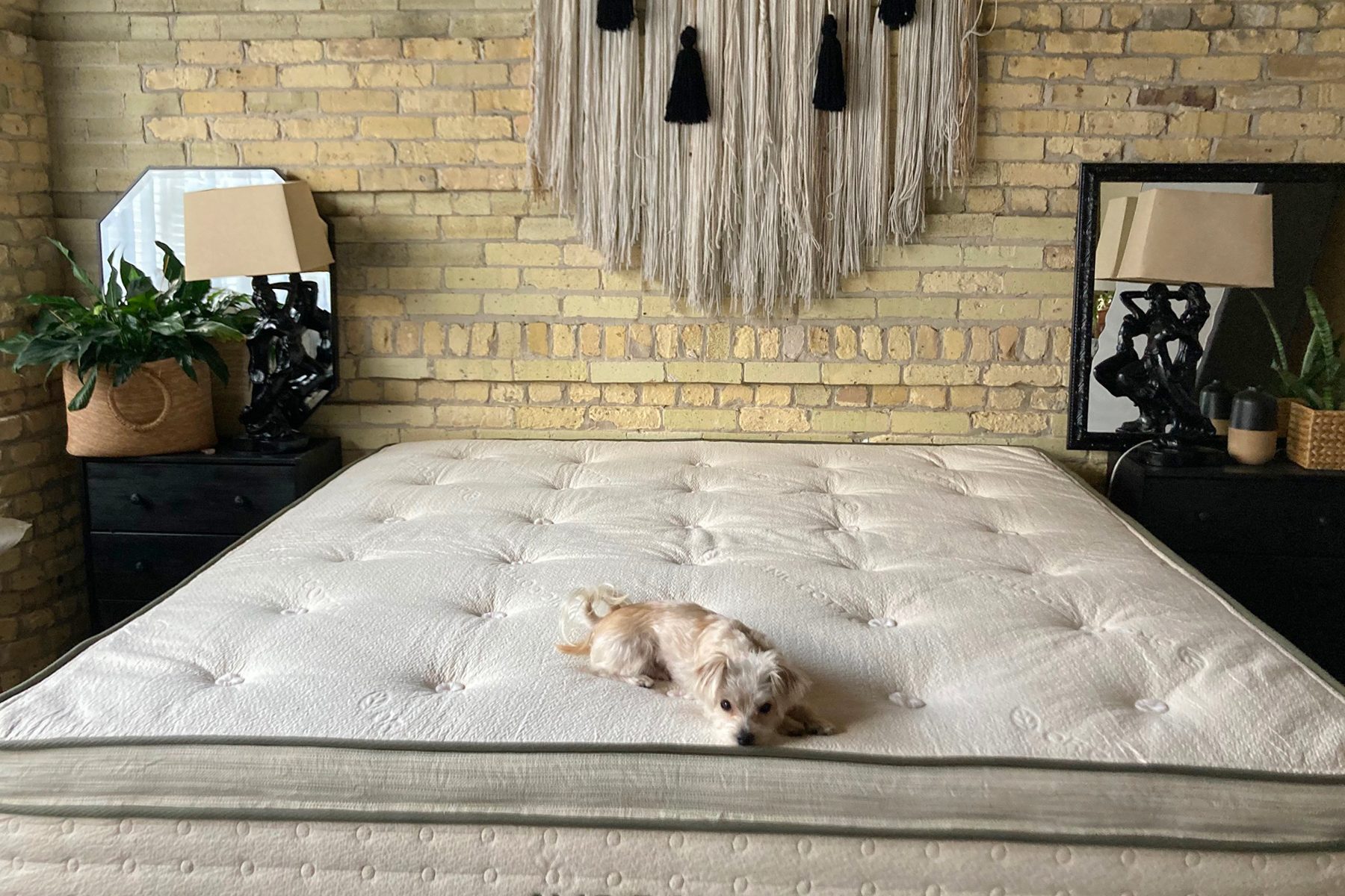 The Avocado Organic Latex Mattress Topper Is the Non-Toxic Stuff Dreams ...