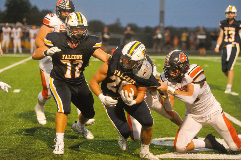 Numbers never lie: Just how good were the Hillsdale Falcons this season?