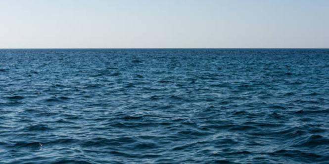 ¿Por qué el cambio en el color de los océanos preocupa a los científicos?