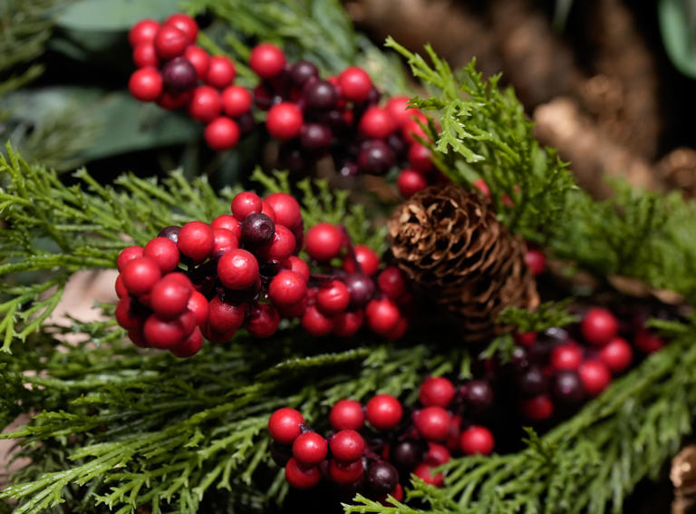 Publix, Walmart and CVS: What stores are open in Florida on New Year’s ... Publix, Walmart and CVS: What stores are open in Florida on New Year’s ...