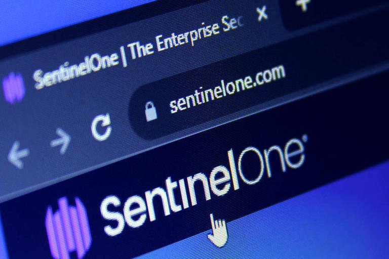 SentinelOne Stock Falls After Earnings. Why ‘It’s Not That Bad.’