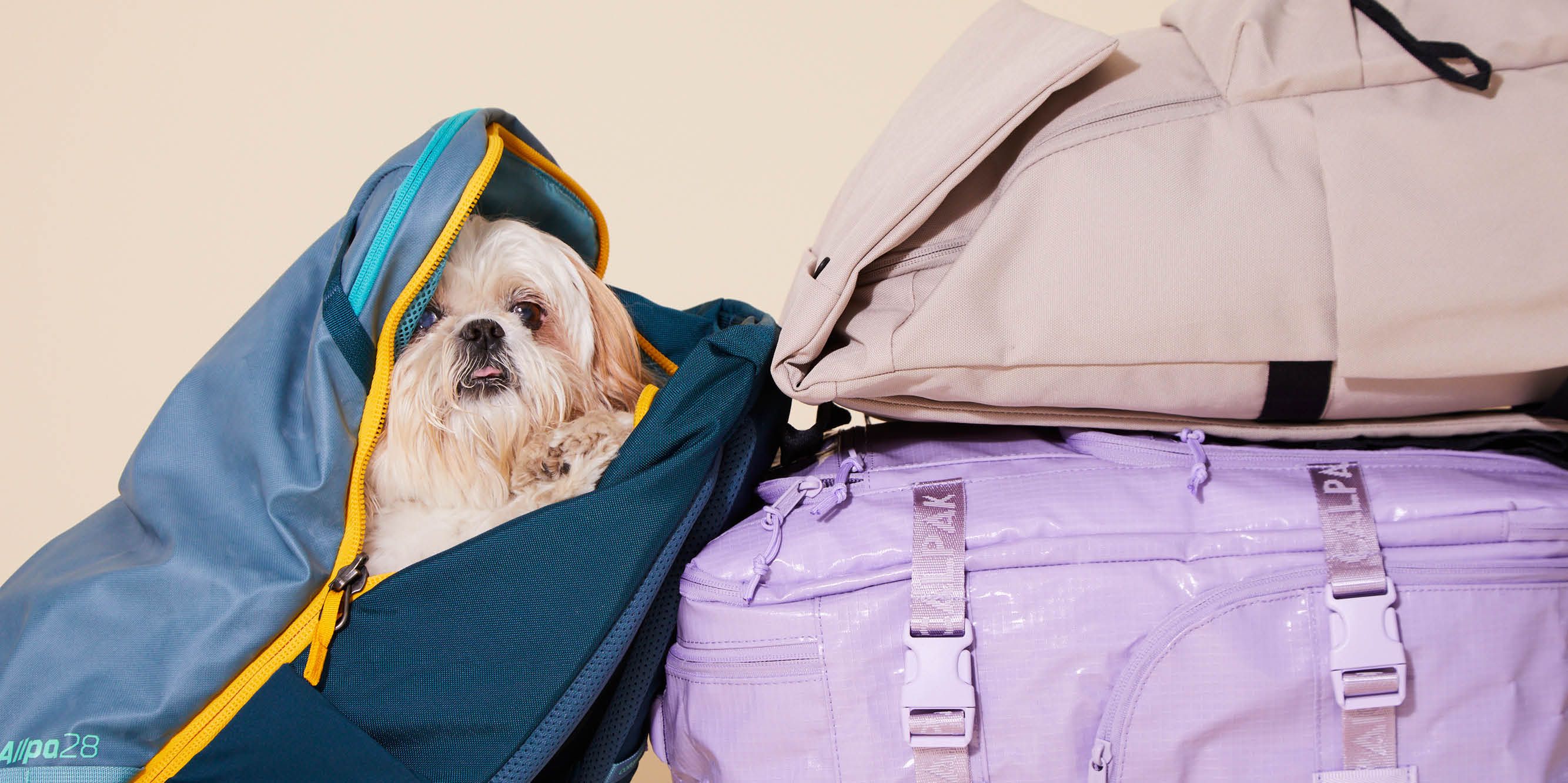 The best travel tip? Backpacks are better than carry-ons and these are ...