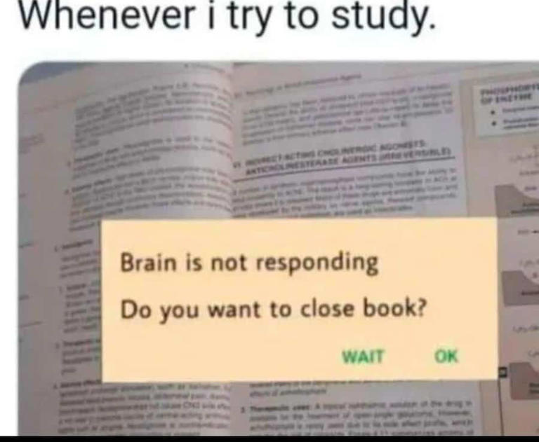 45 Funny Adhd Memes To Hyper Fixate On Until The Next Thing December 5