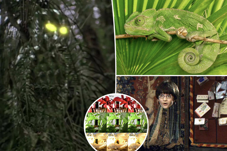 Real-life ‘invisibility cloak’ one step closer — scientists unveil ... Real-life ‘invisibility cloak’ one step closer — scientists unveil ...