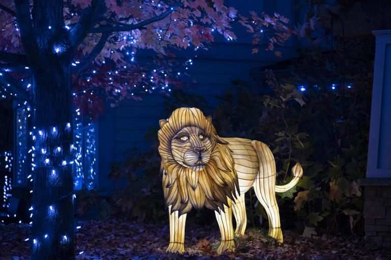 Things to do New Year's week in Cincinnati, Dec. 30-Jan. 5