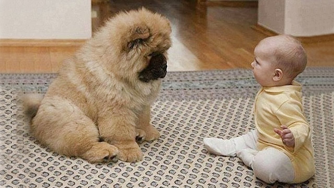 When your dog becomes your whole world