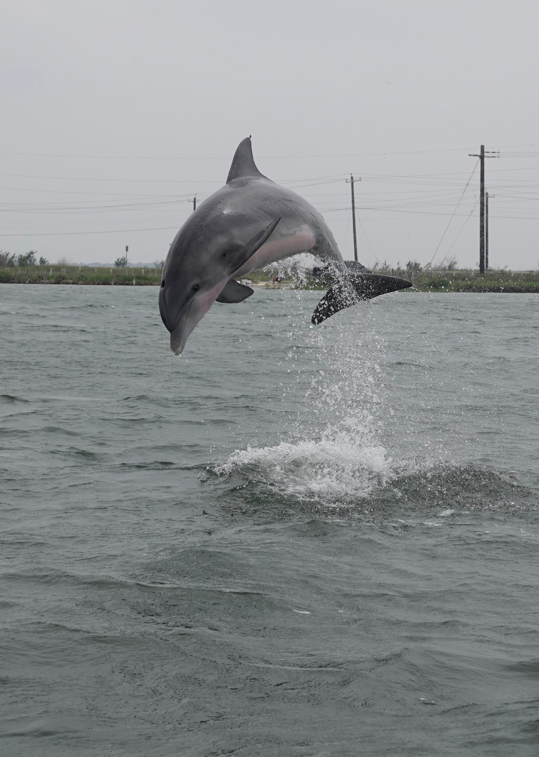 'Very alarming': Texas researchers find fentanyl, other drugs in Gulf ...
