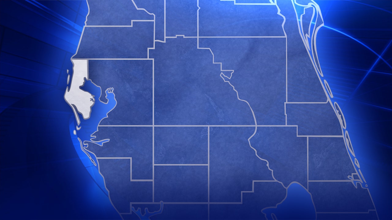 Dunedin High School student hit by car while riding bike dies weeks ...