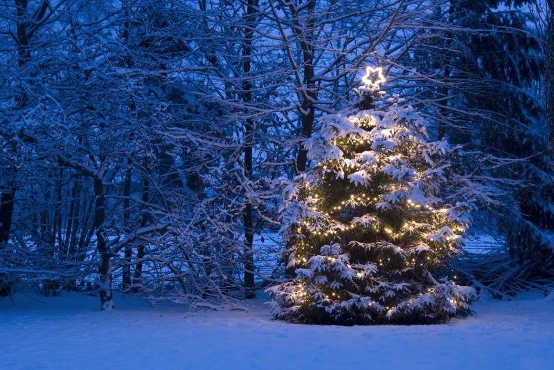 Tree lighting ceremony rescheduled in Daphne