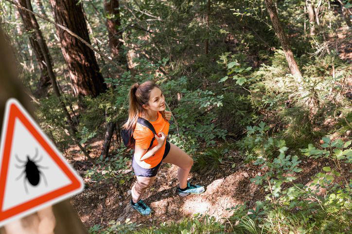 What causes Lyme disease and can you get it twice?