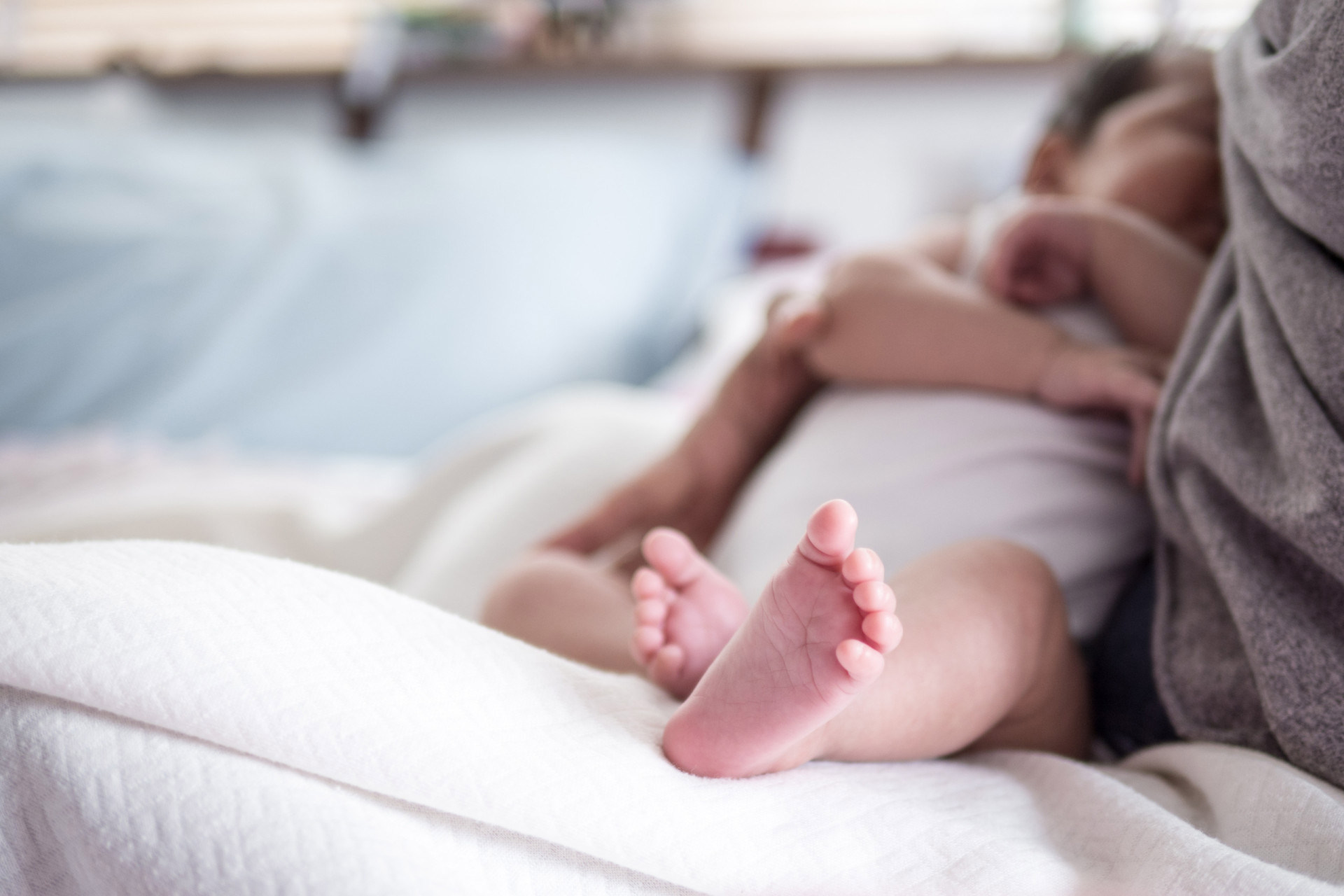The countries with the highest fertility rates The countries with the highest fertility rates