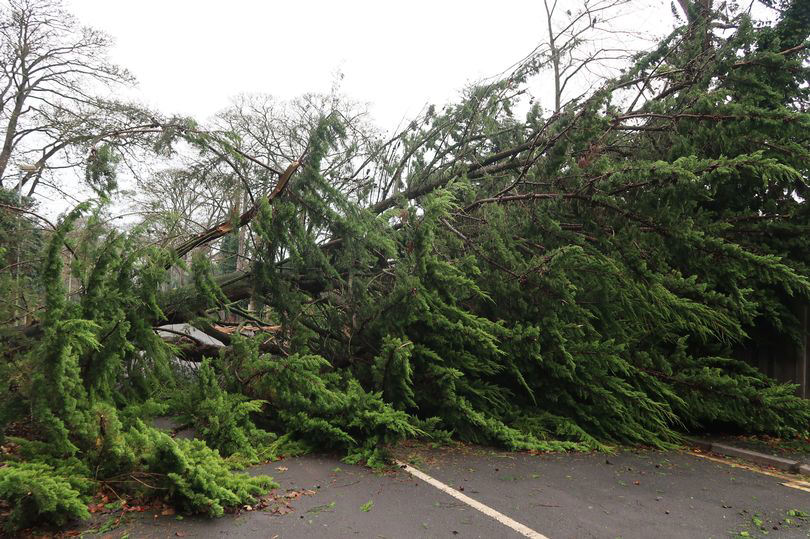 People told to stay away from parks and beaches as warning issued People told to stay away from parks and beaches as warning issued