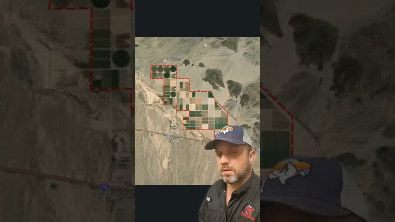 The Basics of Ranching Cattle: What You Need to Know