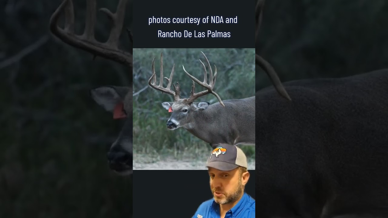 Best Deer Hunting Properties Available