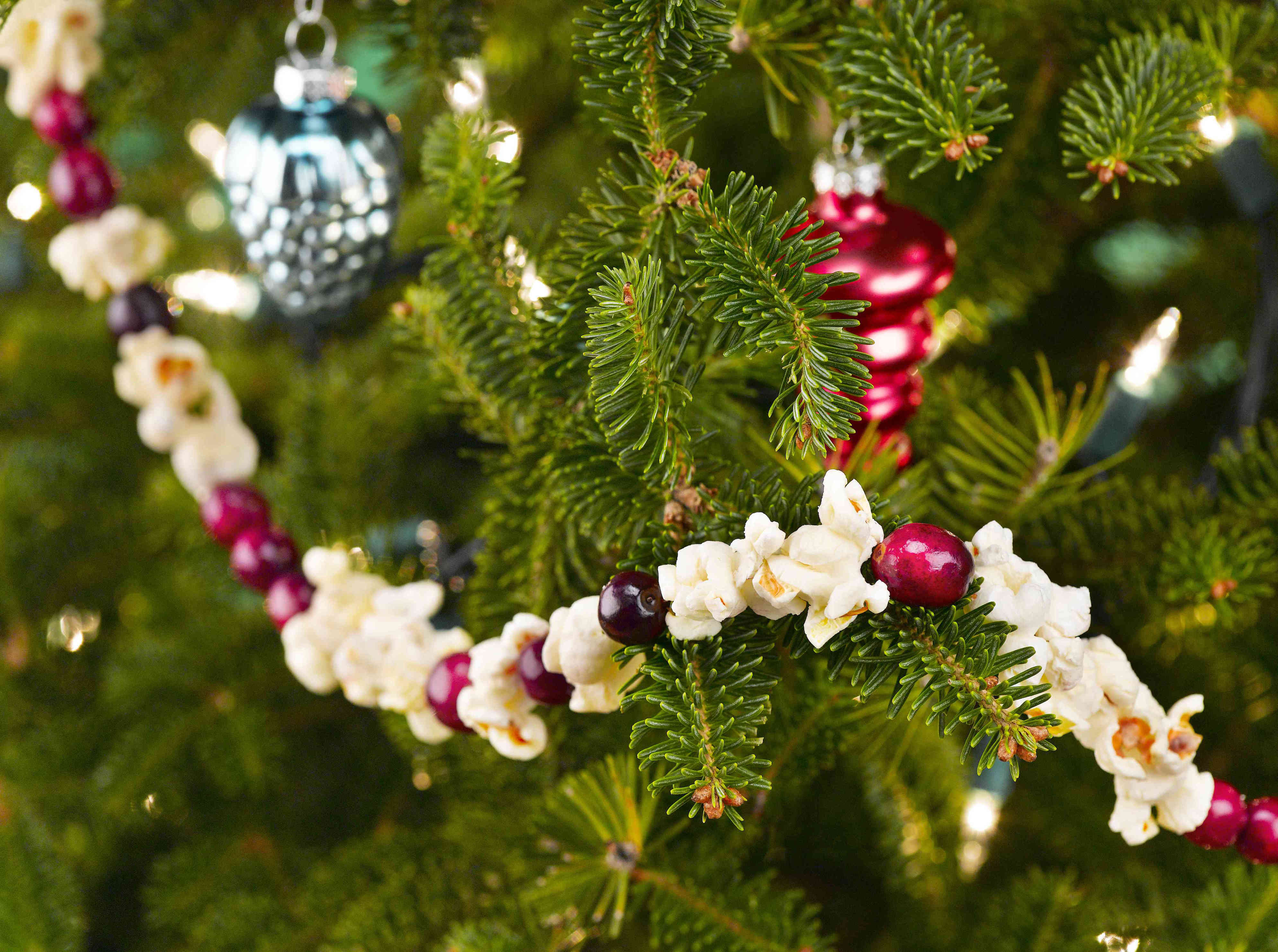 How Popcorn Garlands Became a Nostalgic Holiday Tradition (Plus How to ...