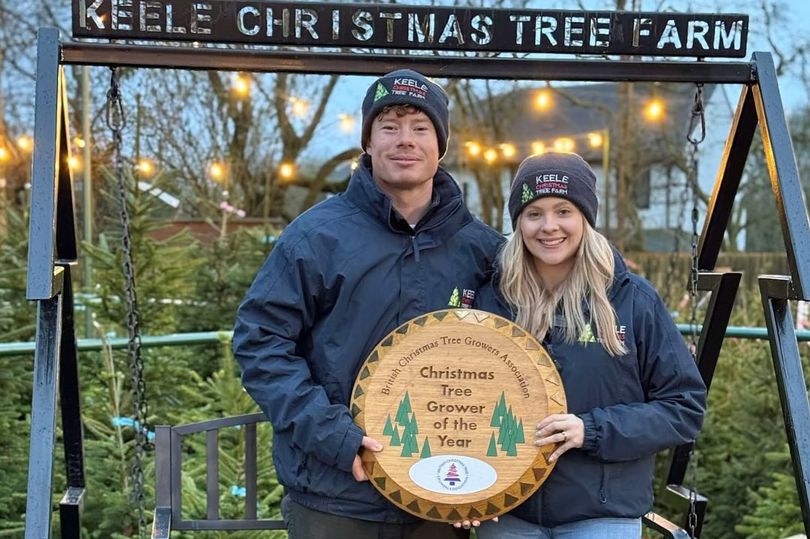 Nine places to pick-your-own Christmas tree in Staffordshire