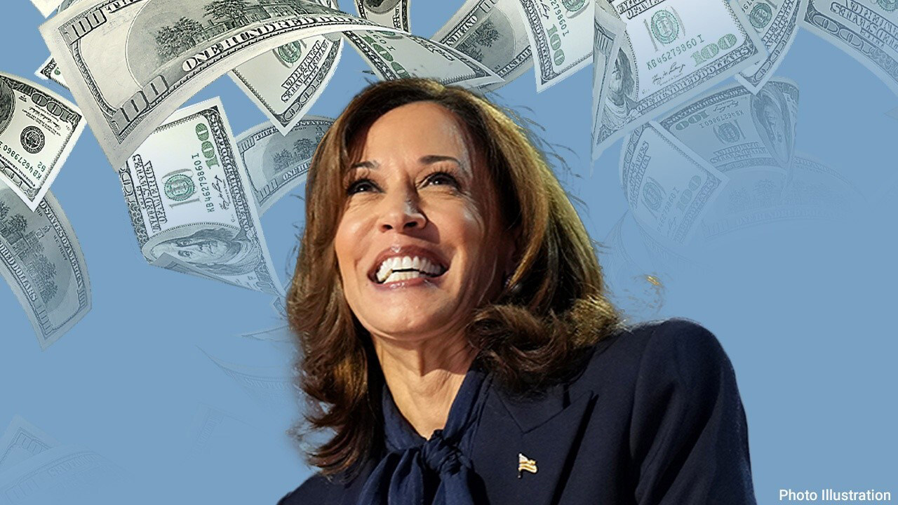 Trump 2024 surrogate criticizes Kamala Harris: Money can't buy ... Trump 2024 surrogate criticizes Kamala Harris: Money can't buy ...