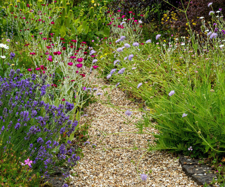 The layered planting approach that designers say will make your garden ...