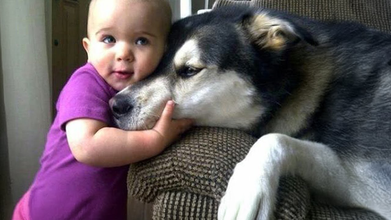 When your dog is the most patient big brother ever