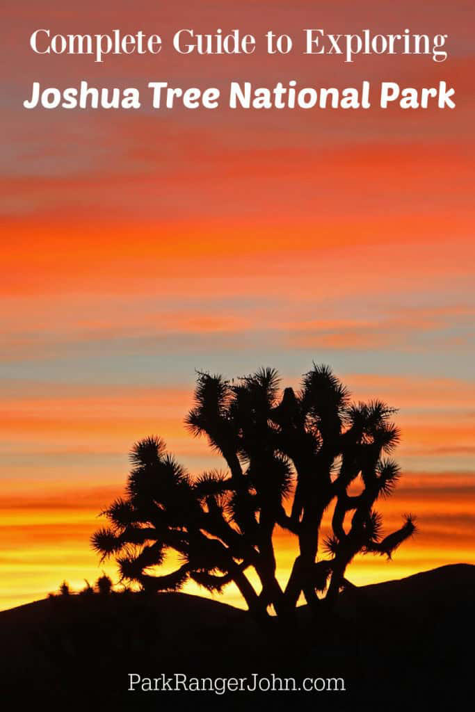 Complete Guide to Joshua Tree National Park